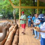 From Colombo: Kandy and Pinnawala Orphanage Short Excursions - The Practical Scoop