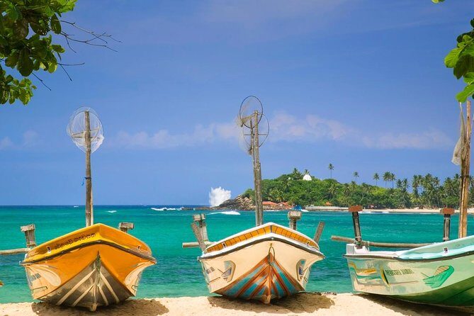 From Colombo/ Negambo - Southern SriLanka Day Trip - Madu River Safari: A Natural Escape