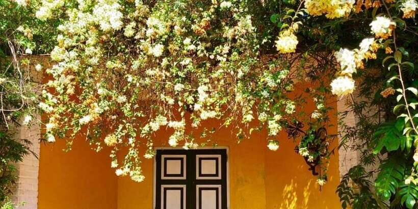 From Colombo/ Negombo: Lunuganga & Brief Garden Odyssey - Why This Tour Delivers Real Value