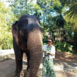 From Colombo or Negombo: Pinnawala, Kandy & Tea Factory Tour - What Makes This Tour Stand Out