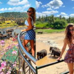 From Colombo: Pinnawala & Tea factory with Kandy Hotel Drop - A Closer Look at the Itinerary