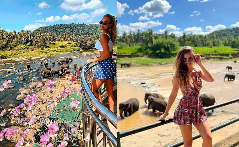 From Colombo: Pinnawala & Tea factory with Kandy Hotel Drop - A Closer Look at the Itinerary