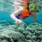 From Da Nang/ Hoi An: Cham Island Day Tour with snorkeling fun - Value for Money