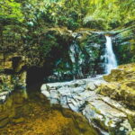 From Da Nang/Hue: Bach Ma National Park Day Trip - Practical Details and Tips