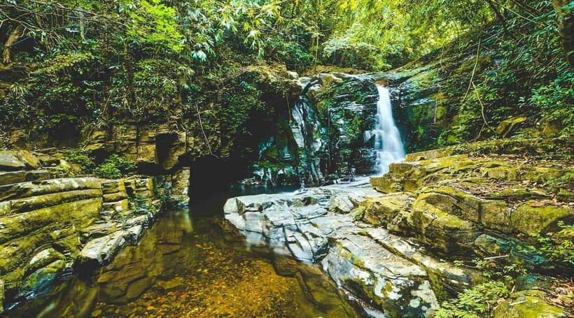 From Da Nang/Hue: Bach Ma National Park Day Trip - Practical Details and Tips