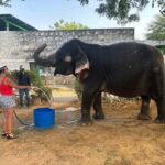 From Delhi: Jaipur Guided City Tour with Lunch - Analyzing the Experience and Its Value