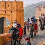 From Delhi: Jaipur Tour by Private Car or Express Train - Logistics and Practicalities