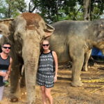 From Delhi: Jaipur Tour with Guide, Transport & Elephants - Who Should Consider This Tour?