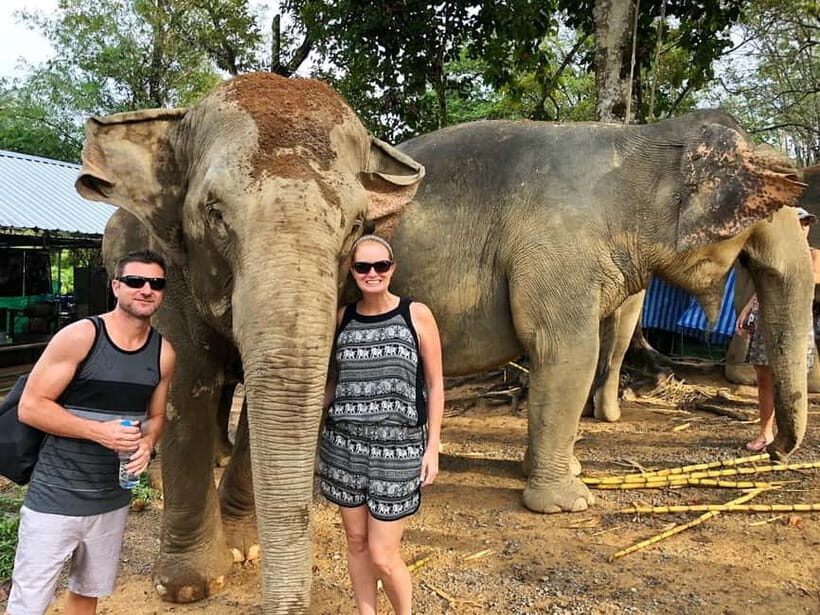 From Delhi: Jaipur Tour with Guide, Transport & Elephants - Who Should Consider This Tour?