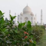 From Delhi : Luxury Taj Mahal Tour By Luxury Car- All Inclusive - What Makes This Tour Stand Out?