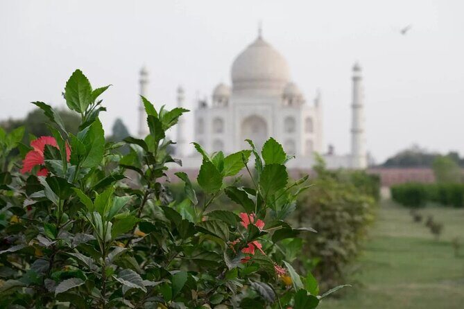 From Delhi : Luxury Taj Mahal Tour By Luxury Car- All Inclusive - What Makes This Tour Stand Out?