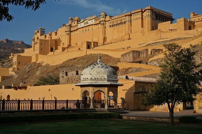 From Delhi: Same Day Amer Fort & Jaipur Tour By Car - Who Should Consider This Tour?