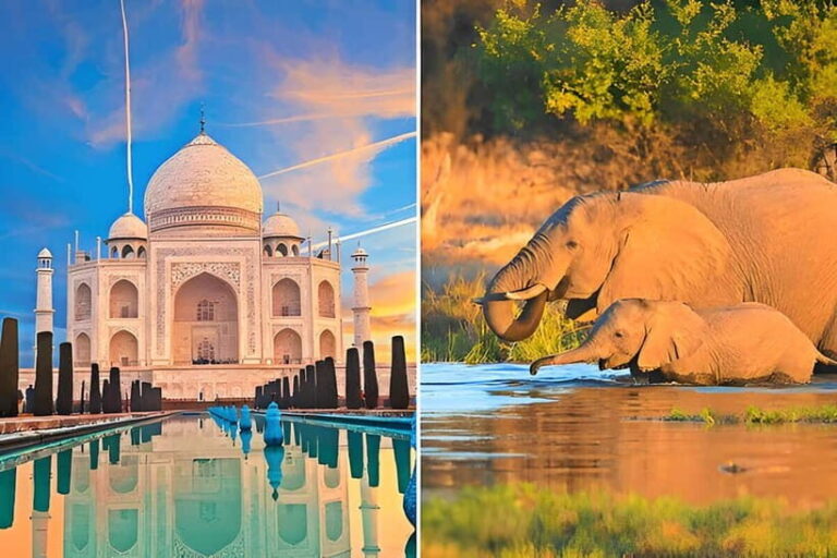 From Delhi: Sunrise Taj Mahal and Elephant Conservation Tour