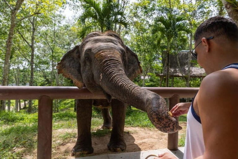 From Delhi: Taj Mahal, Agra Fort & Elephant Center Day Trip - Value and Cost Analysis