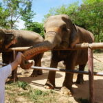 From Delhi: Taj Mahal, Agra Fort & Elephant Sanctuary Tour - Frequently Asked Questions