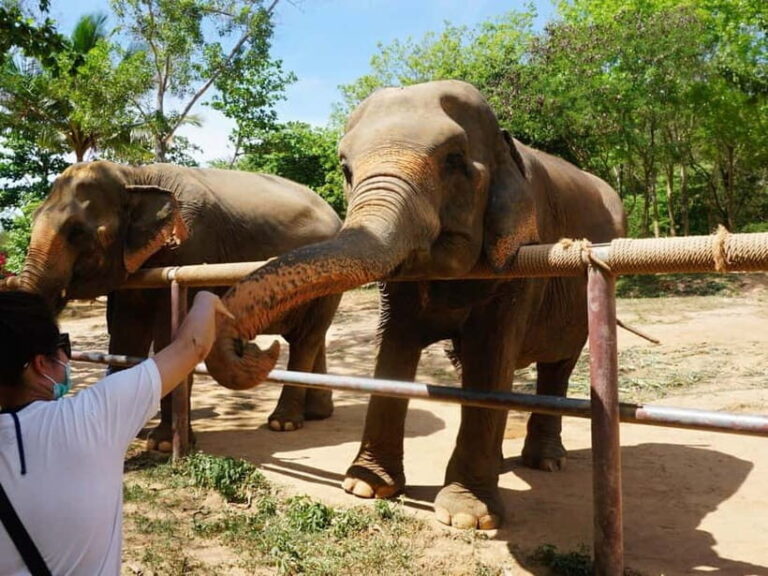 From Delhi: Taj Mahal, Agra Fort & Elephant Sanctuary Tour - Frequently Asked Questions