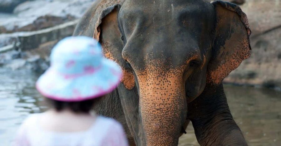 From Delhi: Taj Mahal, Agra Fort & Elephant Sanctuary Tour - What Makes This Tour a Great Choice?