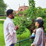 From Delhi: Taj Mahal & Agra Tour by Gatimaan Express Train - The Value and Who It’s Right For