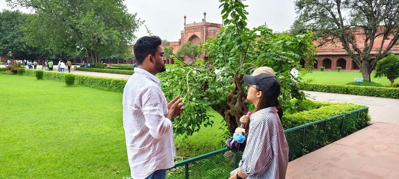 From Delhi: Taj Mahal & Agra Tour by Gatimaan Express Train - The Value and Who It’s Right For