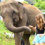 From Delhi: Taj Mahal Sunrise, Agra Fort & Elephant Tour - The Taj Mahal at Sunrise — A Truly Special Experience