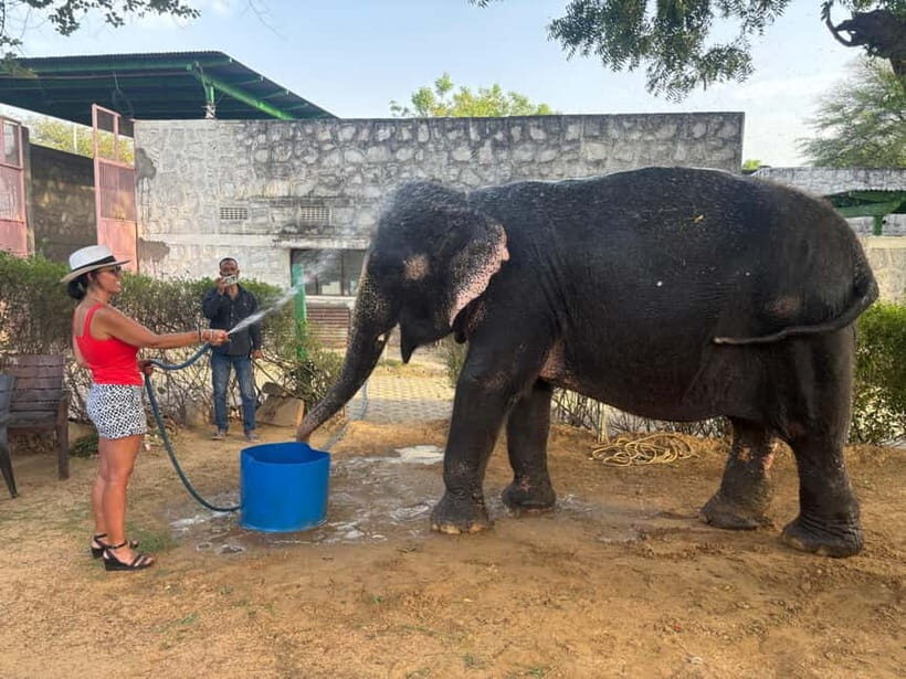 From Delhi: Taj Mahal Sunrise and Elephant Conservation Tour - Breakfast in Agra