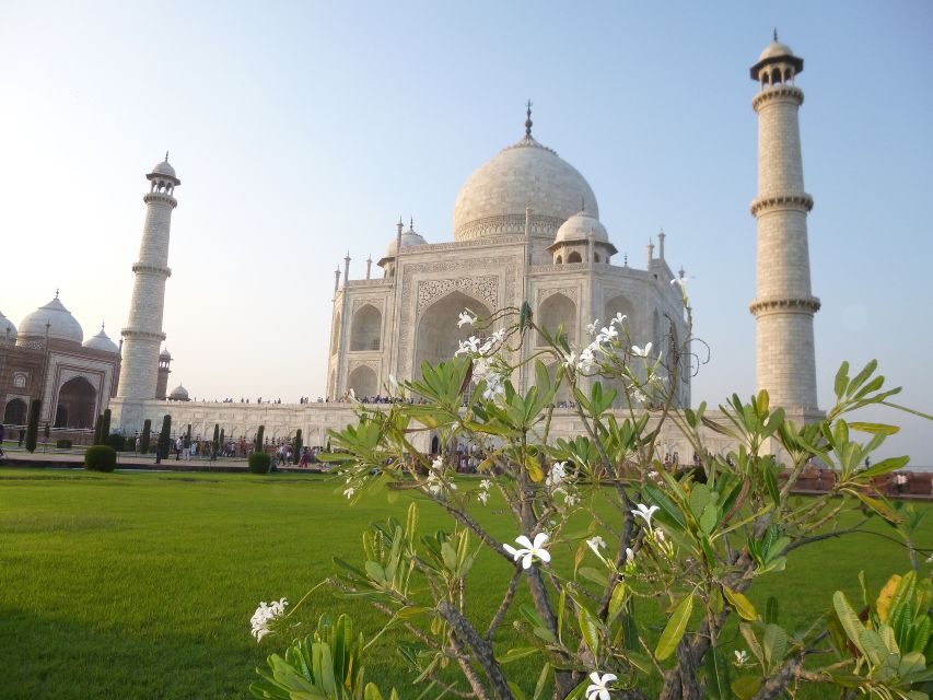 From Delhi: Taj Mahal Sunrise, Baby Taj & Agra Fort Day Tour - Why This Tour Offers Great Value