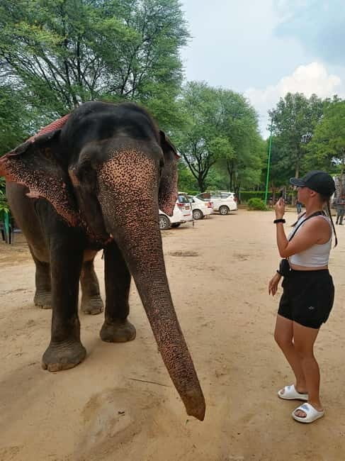 from Delhi Taj Mahal Sunrise Tour W SOS Elephant Conservati - Return Journey and Drop-off