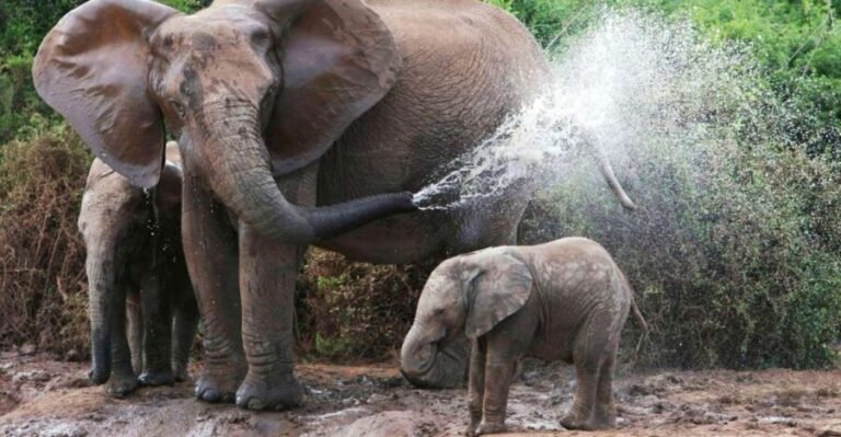 From Delhi: Taj Mahal Tour with Elephant Conservation Centre - Detailed Breakdown of the Itinerary