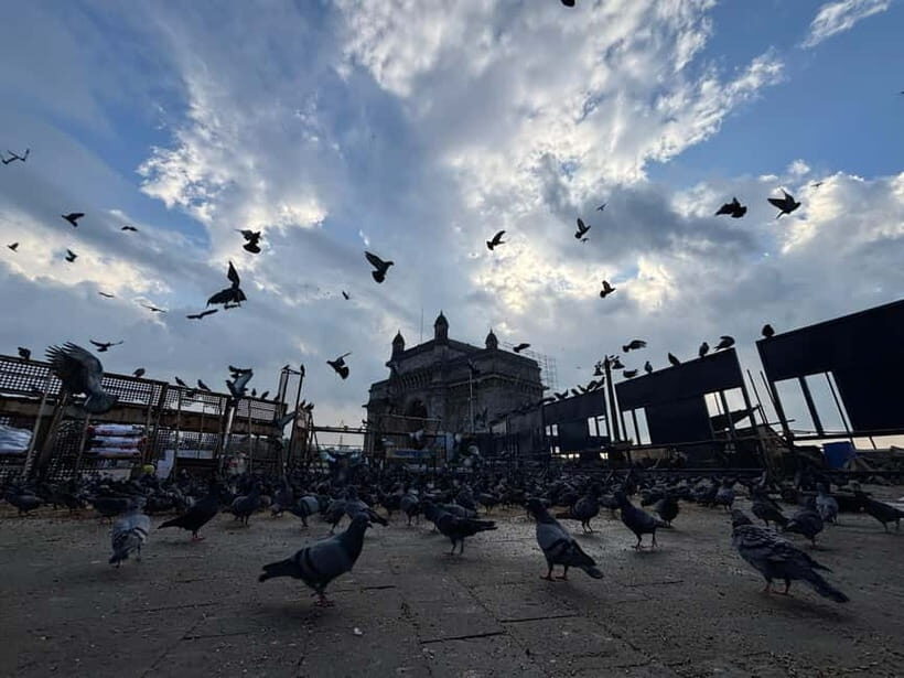 From Docks to Dreams: Mumbai's Iconic Trail - A Comprehensive Look at the Mumbai Experience