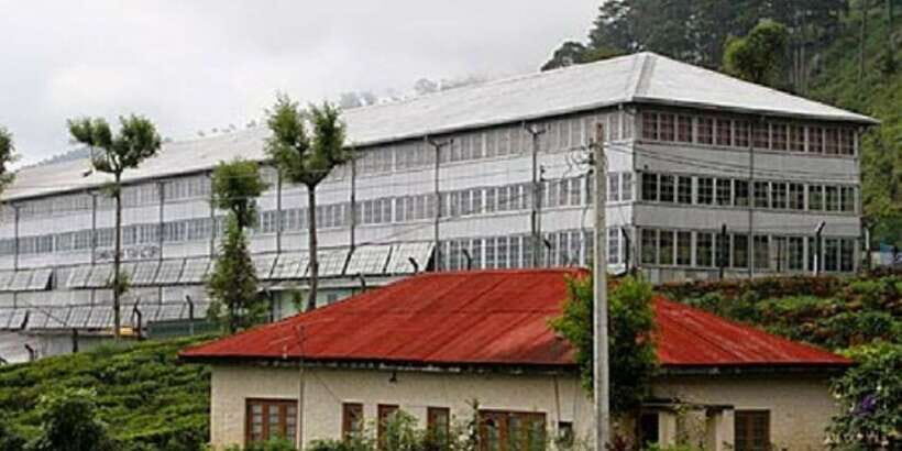 From Ella: Tuk-Tuk Tea Adventure: Lipton's Seat Excursion! - Practical Details: What You Need to Know