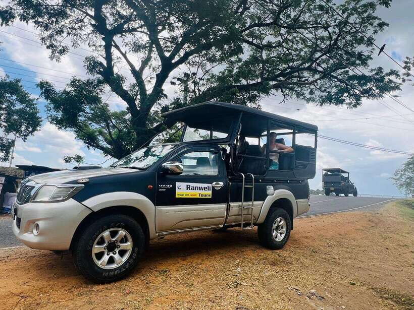 From Ella: Udawalawe National Park Safari with Elephant - A detailed look at the experience