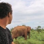 From Ella : Udawalawe & YALA Safaris with Breakfast & Lunch - The Experience from a Traveler’s Perspective