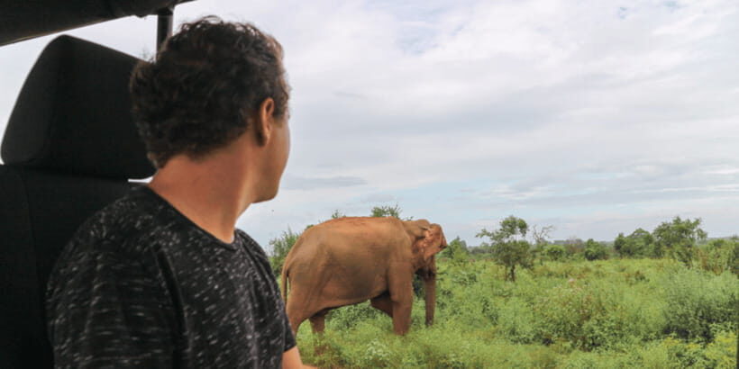 From Ella : Udawalawe & YALA Safaris with Breakfast & Lunch - The Experience from a Traveler’s Perspective