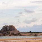 From Ella: Yala National Park Safari Tour in a 4x4 - Wildlife Encounters and Sightings