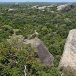 From Ella:Ravana Falls / Diyaluma Falls / Yala National Park - Honest Insights and Traveler Tips