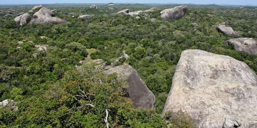 From Ella:Ravana Falls / Diyaluma Falls / Yala National Park - Honest Insights and Traveler Tips