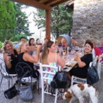 From Florence: Classic Chianti Villages and Wine Roads by Minivan - The Itinerary in Detail