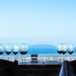 From Florence PRIVATE:Bolgheri Wine Tour,tasting among the Tuscany coastal hills - Insights from Traveler Reviews