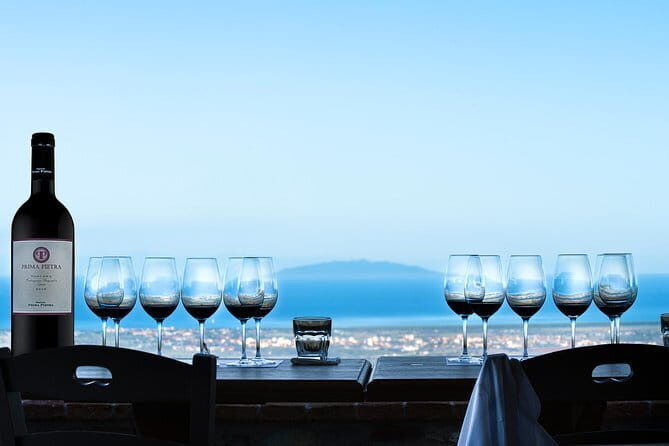 From Florence PRIVATE:Bolgheri Wine Tour,tasting among the Tuscany coastal hills - Insights from Traveler Reviews