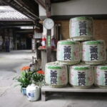 From Fukuoka: Yufuin, Hita, and Beppu Day Trip - The Itinerary Breakdown