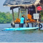 From Galle: Exclusive Madu River Safari & Turtle Hatchery - An In-Depth Look at the Tour