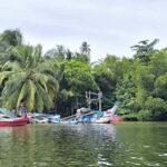 From Galle: Madu River Safari & Turtle Hatchery Visit - What Makes This Tour Stand Out?