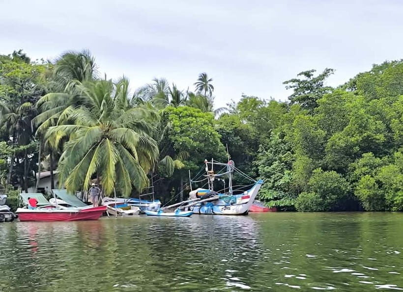 From Galle: Madu River Safari & Turtle Hatchery Visit - What Makes This Tour Stand Out?