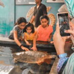 From Galle: Private Day Trip to Turtle Hatchery & Madu Ganga - Who Will Love This Tour?
