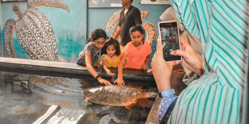 From Galle: Private Day Trip to Turtle Hatchery & Madu Ganga - Who Will Love This Tour?