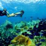 From Gili Trawangan: Island Hopping Snorkeling Trip - The Itinerary: What to Expect