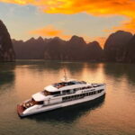 From Ha Long: Luxury Symphony Day Cruise with 2 Jacuzzi Pool - The Itinerary: What You Can Expect