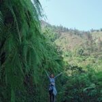 From Hà Ni : Conquer Fansipan Peak 2 days 1 night - Authentic Reviews from Past Travelers