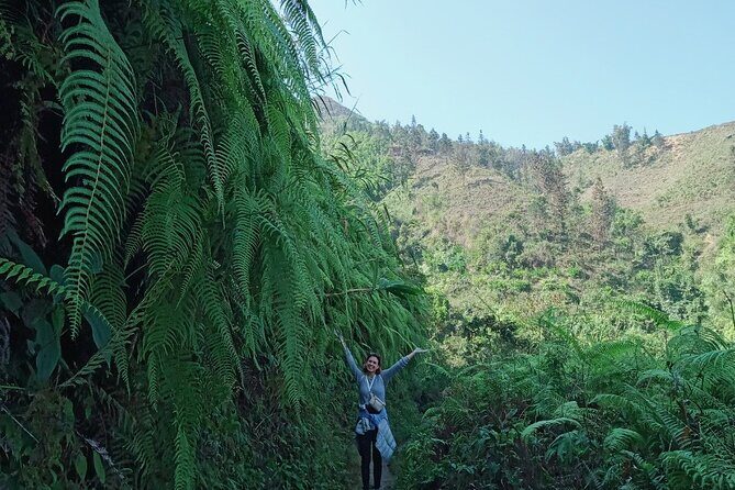 From Hà Ni : Conquer Fansipan Peak 2 days 1 night - Authentic Reviews from Past Travelers