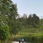 From Ha Noi: Cao Bang Loop Group Motorbike Tour 4 Day - What Travelers Say